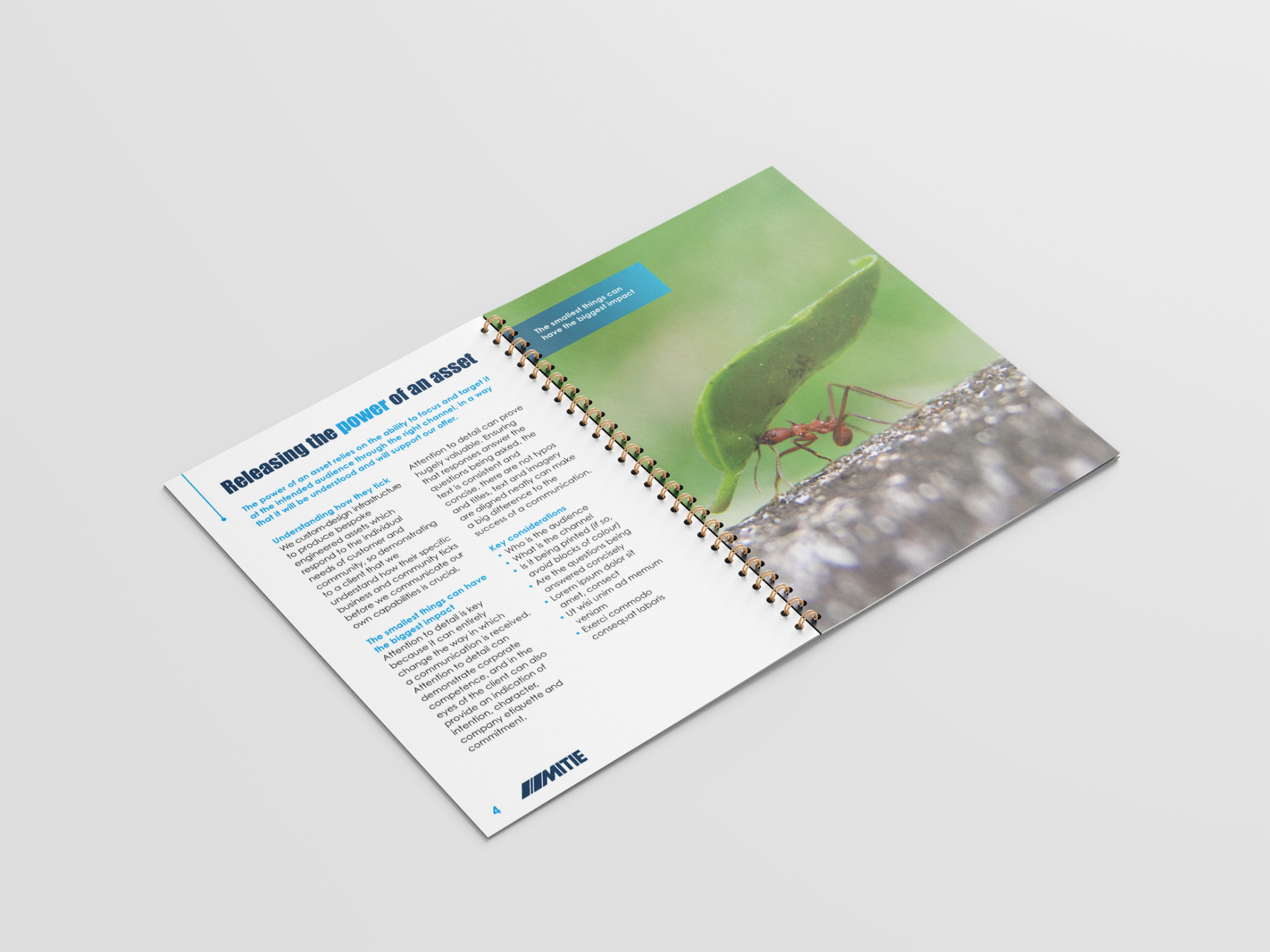 Mitie - Freelance Graphic & Web Design | Expert Branding, Logo Design ...